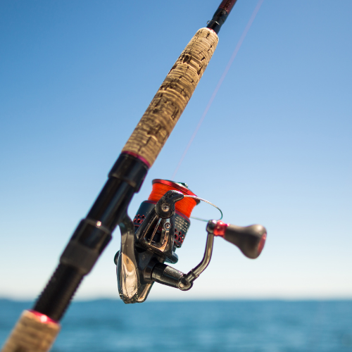 The Ultimate Guide to Choosing the Perfect Rod & Reel Combo – Benny's ...